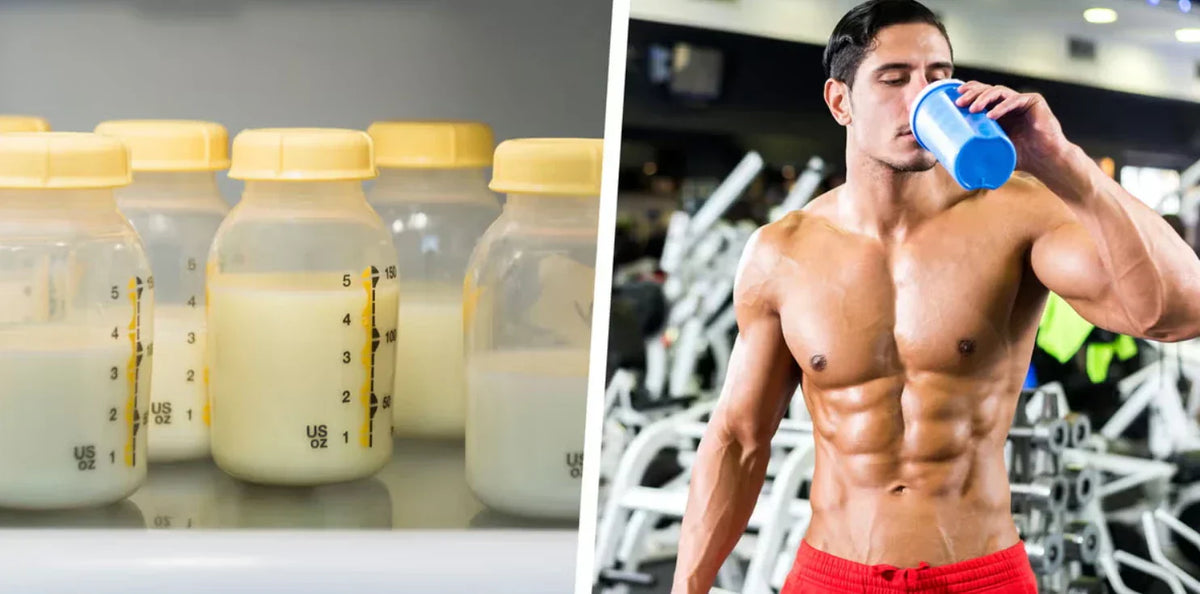 Is Muscle Milk Good for Building Muscle: An In-Depth Analysis | RitKeep ...