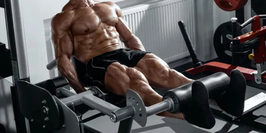 10 Killer Leg Extension Alternatives for Explosive Leg Strength ...